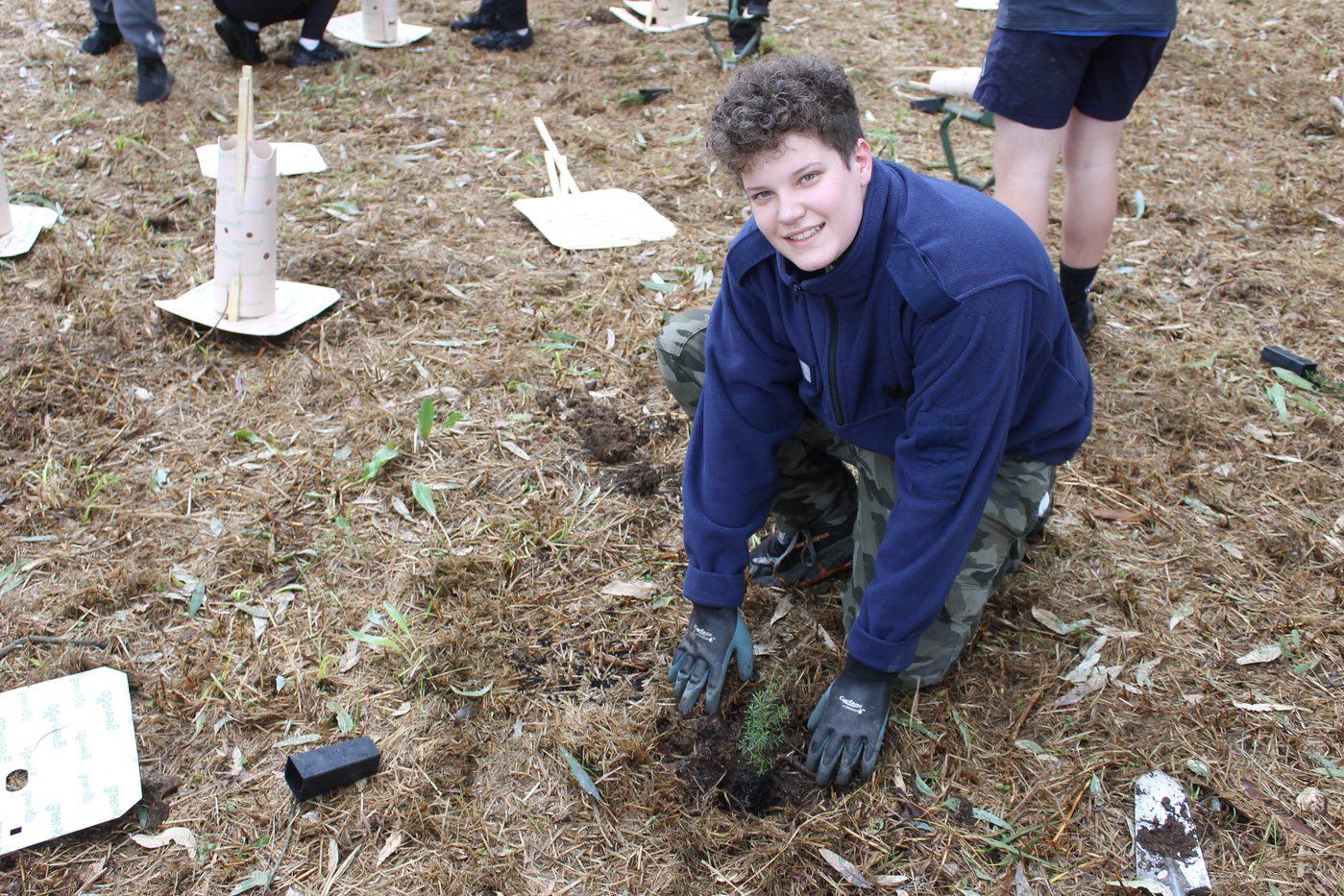 Myrtleford to plant seedlings on masse for National Tree Day