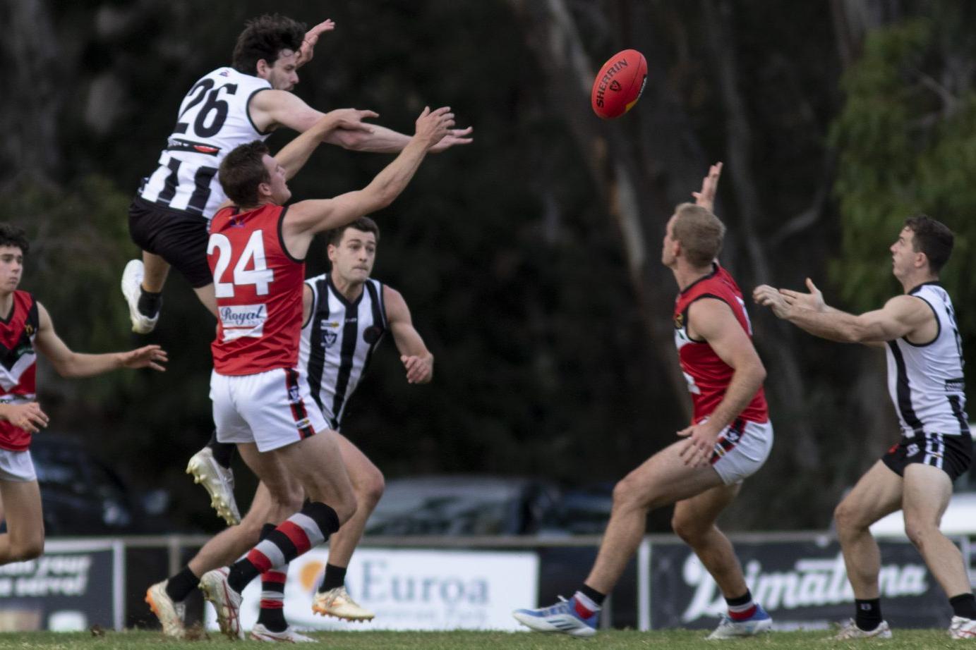 Euroa Football Netball Club at the crossroads
