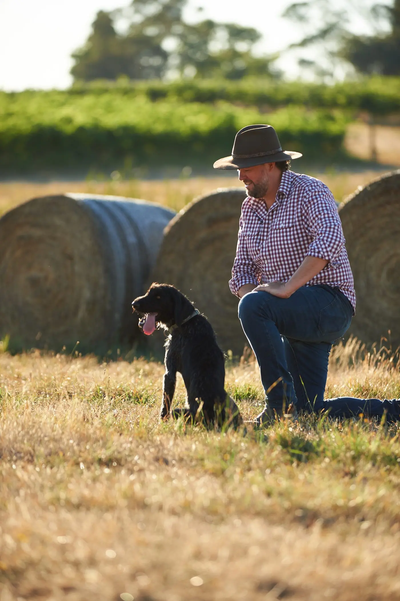 Caped crusader saves vineyards $50m