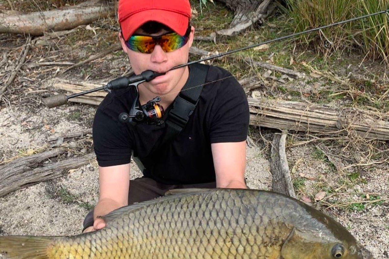 The new carp virus and its potential impact