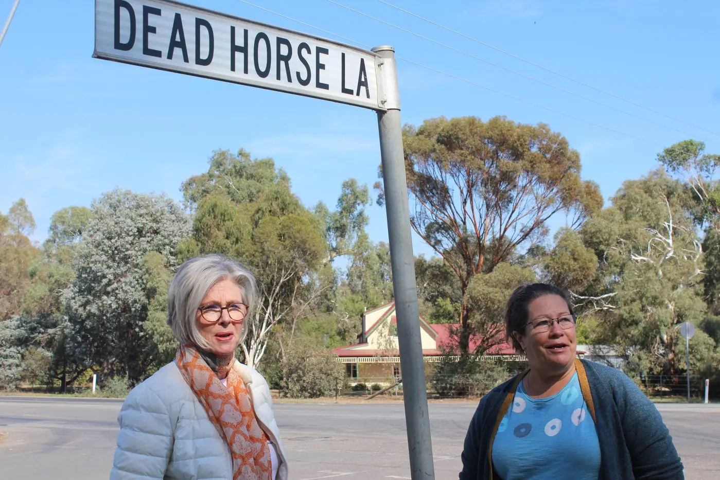Plug potholes, unplug funding for councils, says Haines