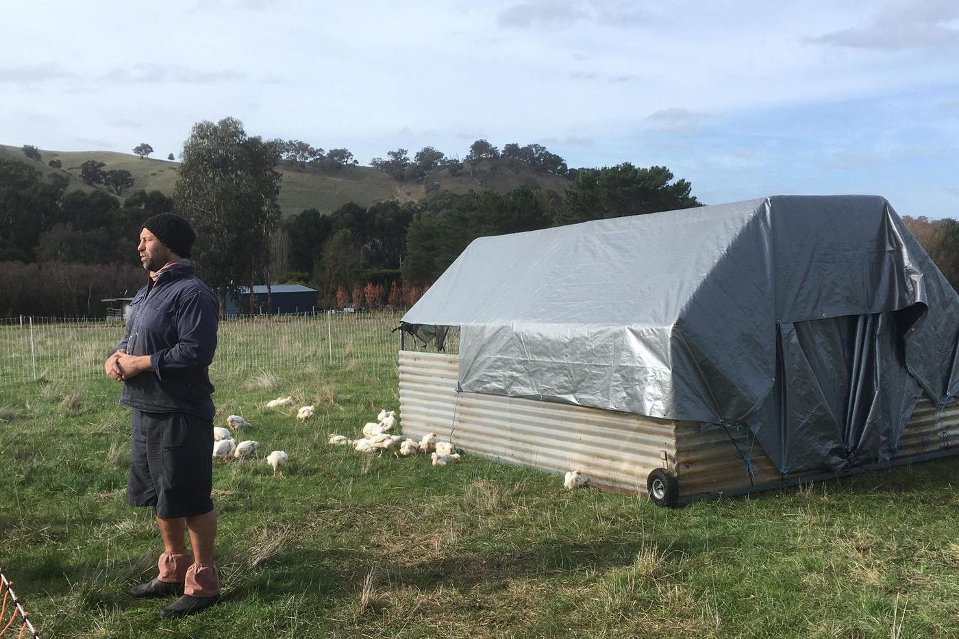Regen farm day at Bonnie Doon offers alternative