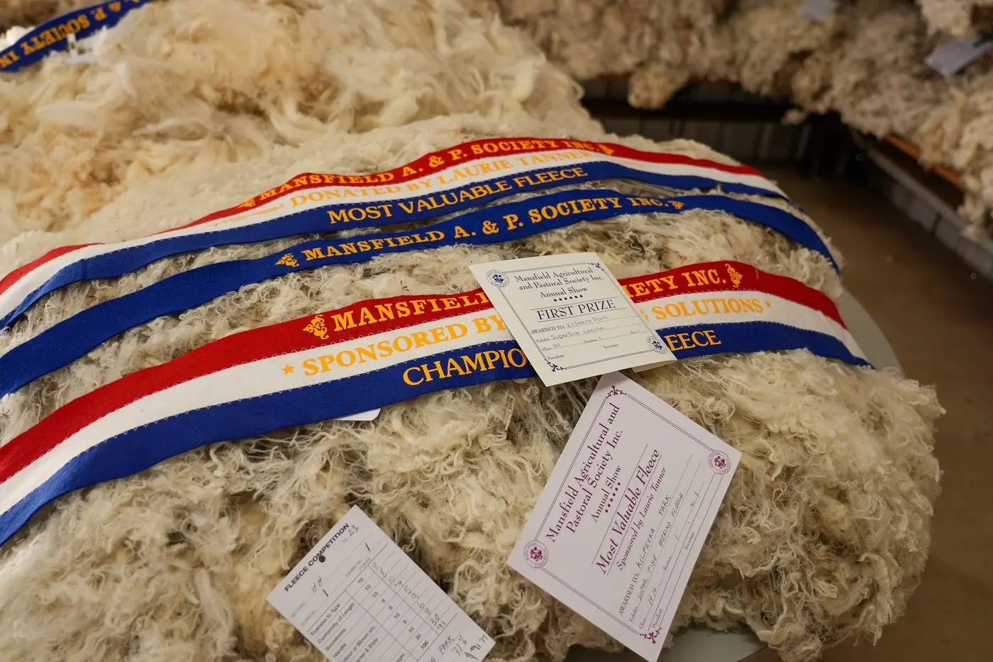 Entries now open for Royal Melbourne fleece competition