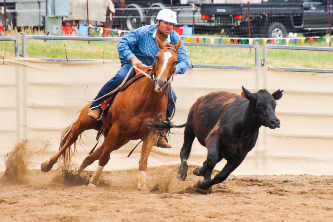 Campdraft action returns to Merrijig.