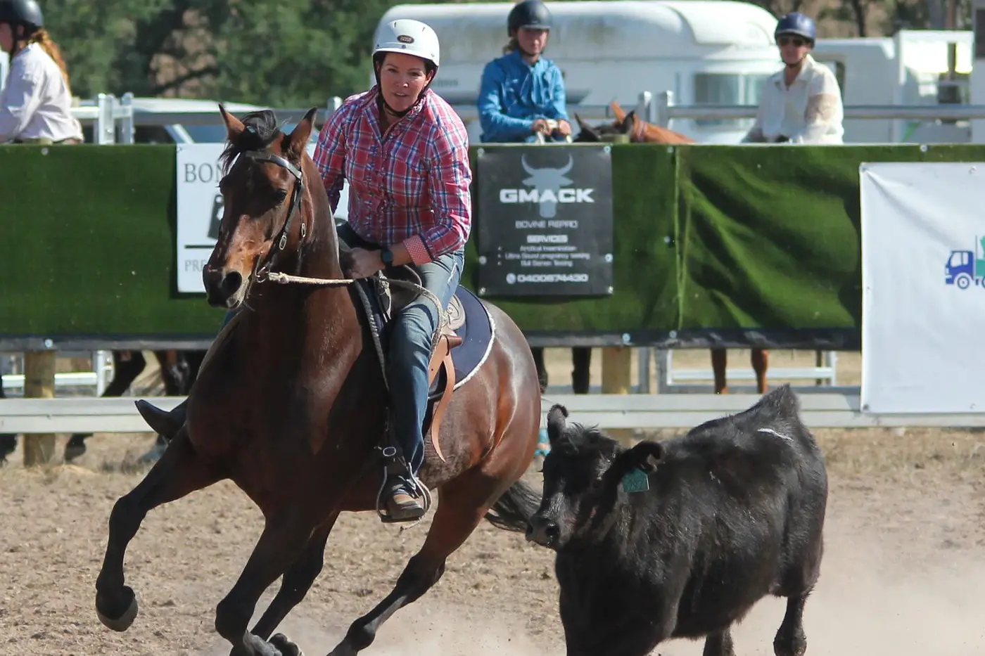 Merton Campdraft a successful weekend