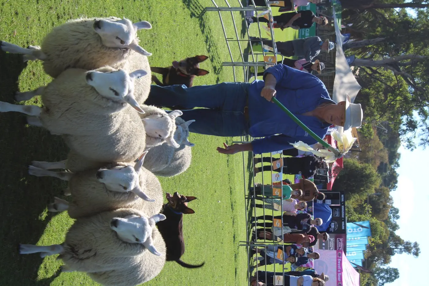 Delightful weather at Alternative Farming Expo