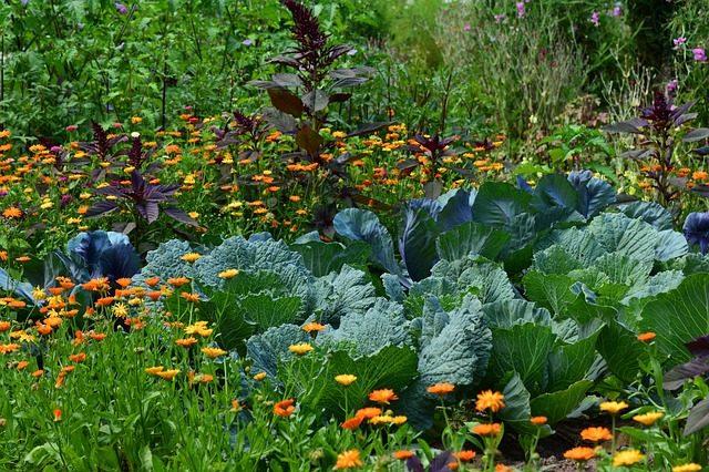 Spring has sprung, and it's time to get into the garden