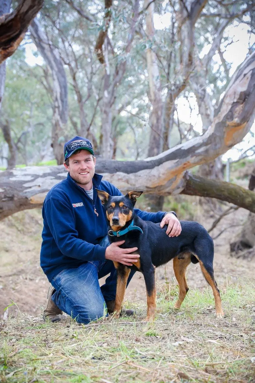 Australian champions taste victory in Henty sheep dog trial